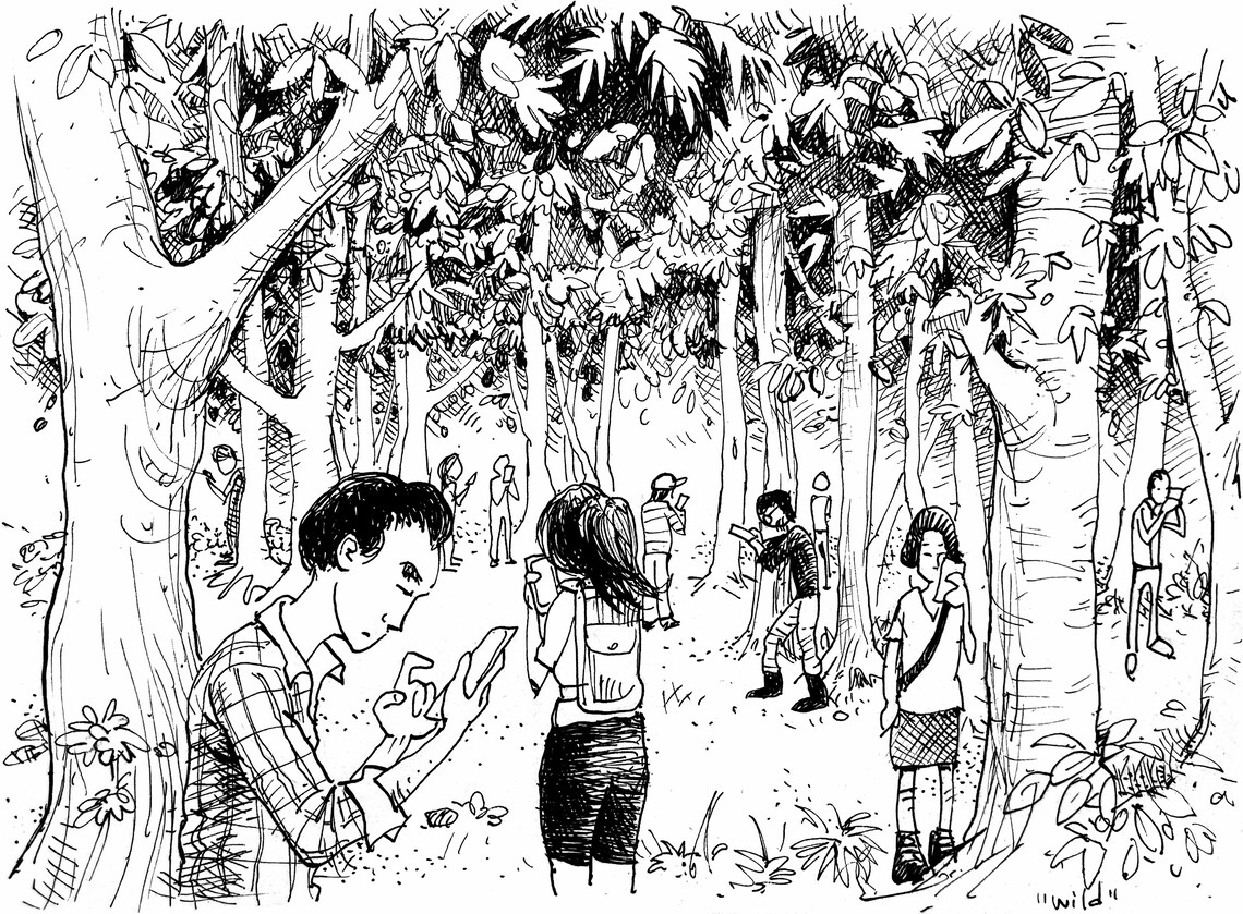 Archival Print of "wild" Ink Drawing by John Devore. Signed and ...