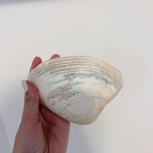 Decoupage Clam Shell Trinket Dish With Gold Edges, Jewellery Dish ...