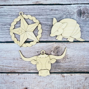 Texas Set, Pop-out Kids DIY Craft Kit, SVG, Armadillo, Longhorn, Lone ...