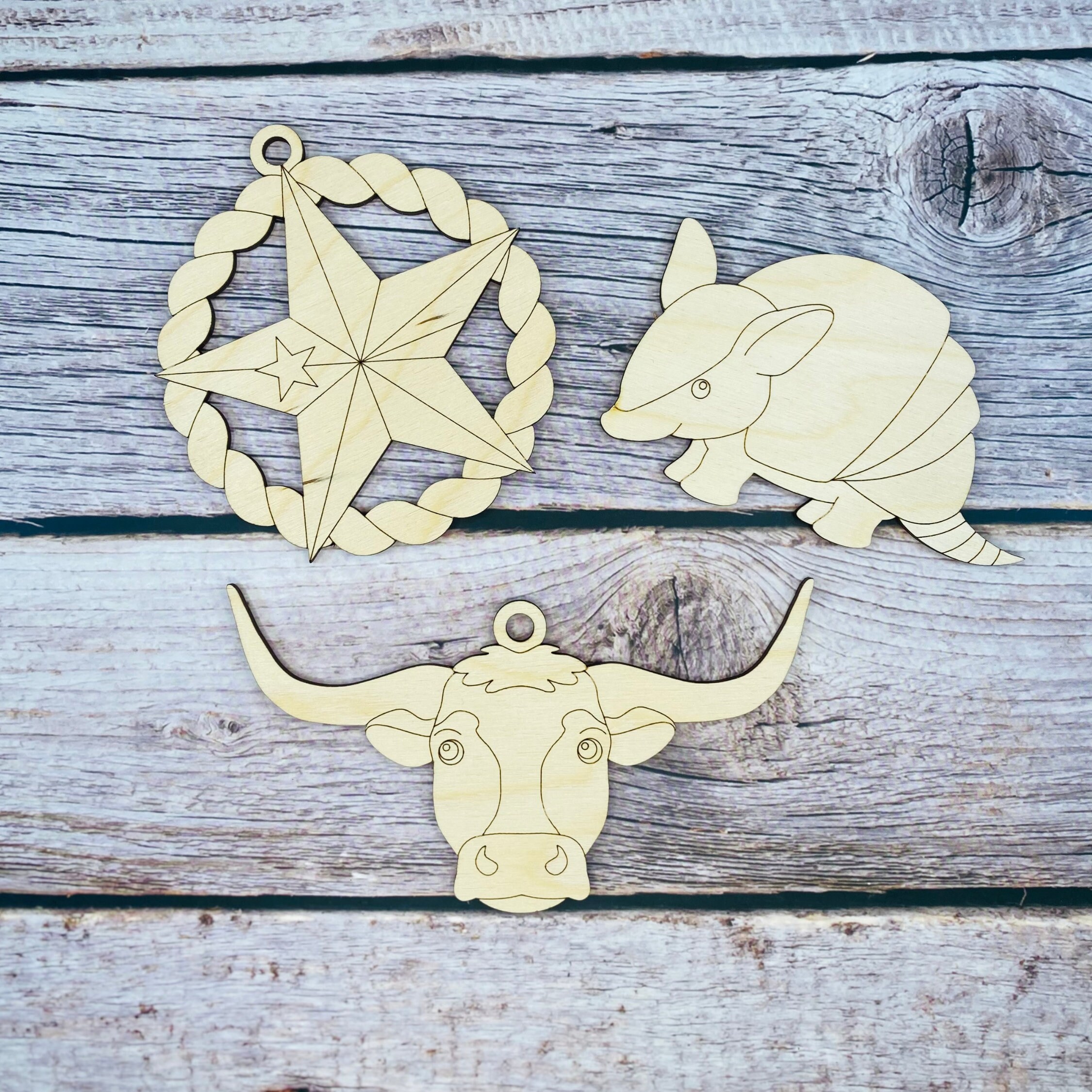 Texas Set, Pop-out Kids DIY Craft Kit, SVG, Armadillo, Longhorn, Lone ...