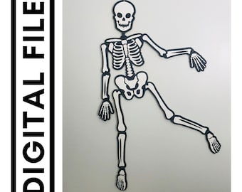 Laser Cut Skeleton - Etsy