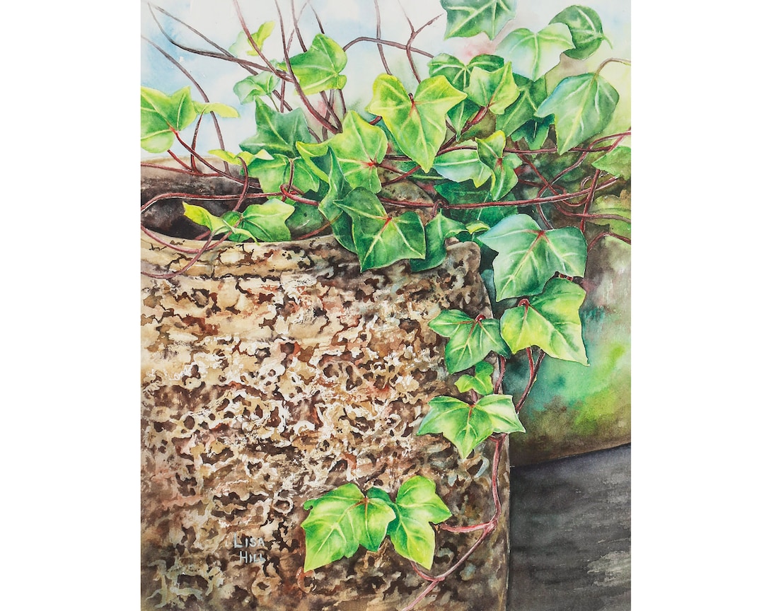 Efeu Aquarell Pot O' Ivy Aquarell - Etsy.de