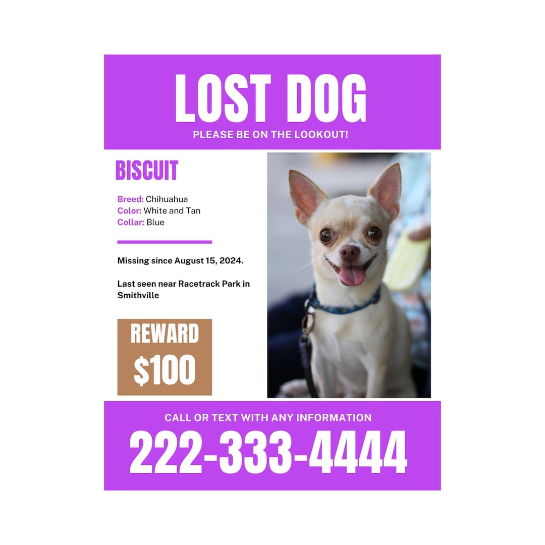 Lost Dog Flyer | Digital Download | Customizable | You Edit | Lost Pet ...