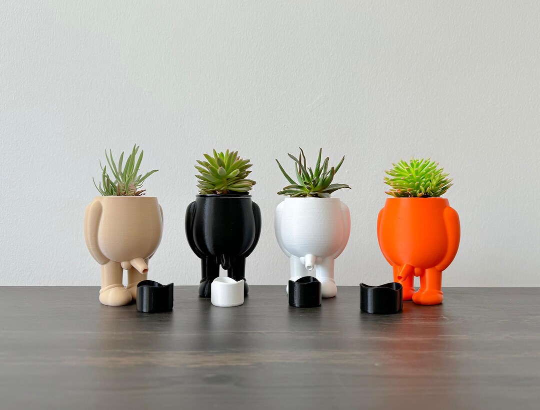 Quirky Peeing Man Succulent Planter Whimsical Indoor Garden Statue ...
