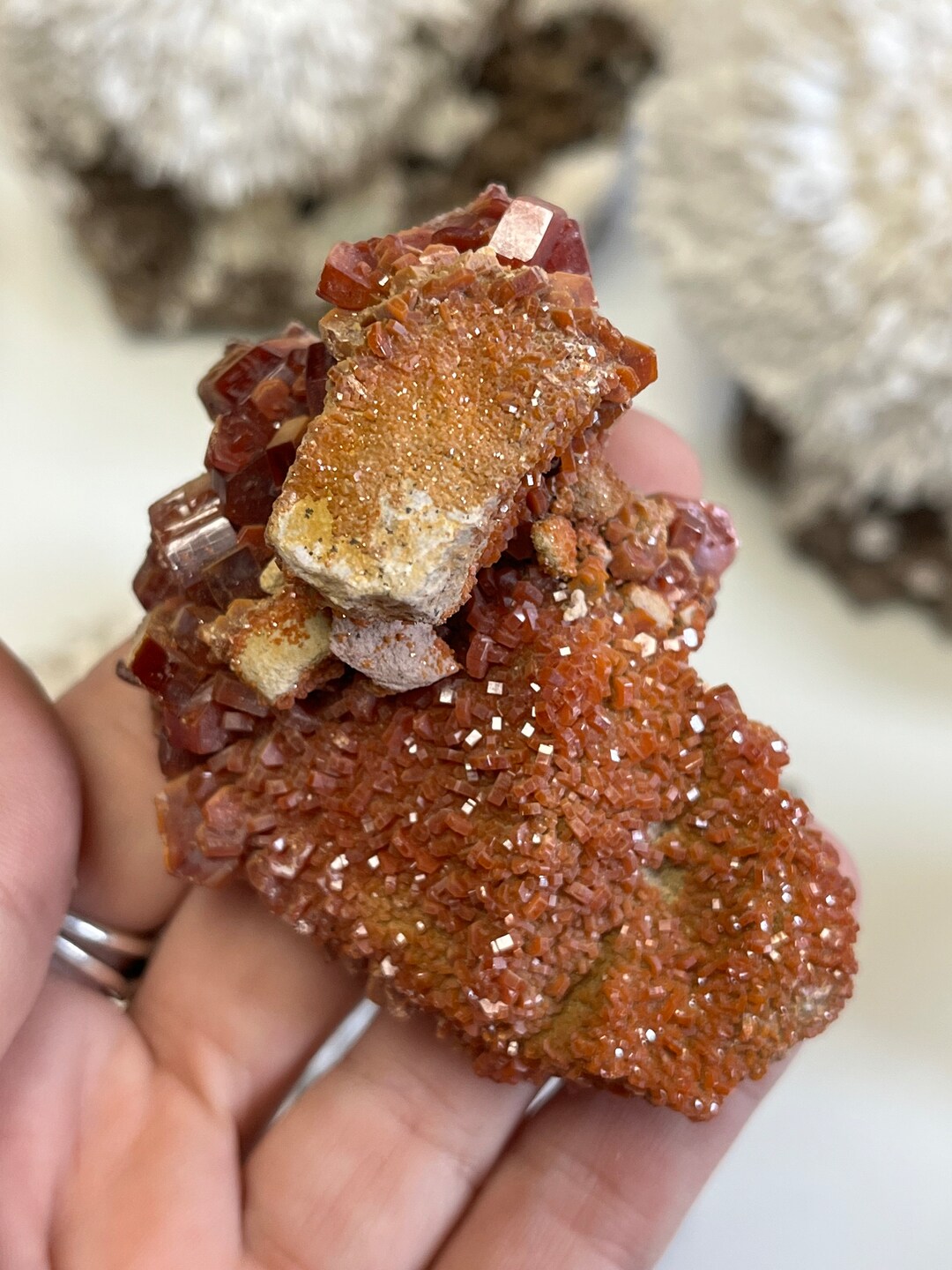 Vanadinite Vanadinite on Matrix Mibladen, Morocco Rare Minerals Red ...