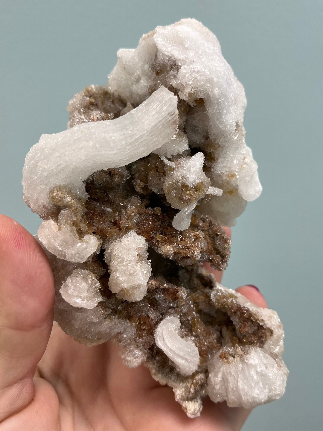 Large Wave Selenite Candy Floss Selenite Rams Horn Selenite Rare ...