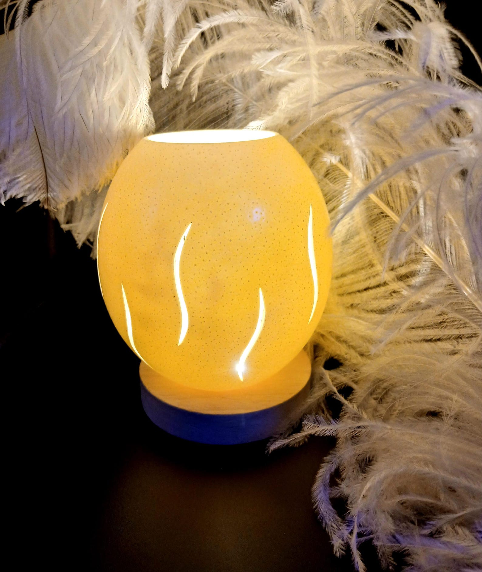 Patterned Designs Ostrich Egg Lamp- Either Multicolour/white LED ...