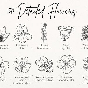 U.S. State Flower Svg Bundle, Flower Stencil, Flower Tattoo Design ...