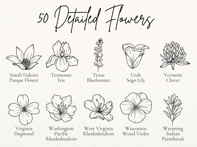 U.S. State Flower Svg Bundle, Flower Stencil, Flower Tattoo Design ...