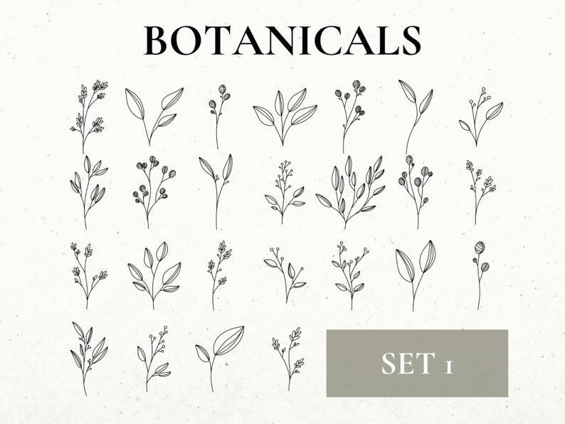Botanicals Svg Bundle, Hand Drawn Flower Svg, Floral Vector, Branches ...