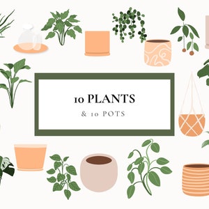 Indoor Plants PNG Bundle, House Plant Clip Art Set, Botanical Plant ...