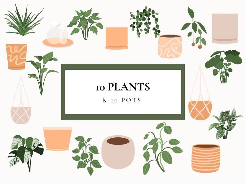 Indoor Plants PNG Bundle House Plant Clip Art Set Botanical - Etsy