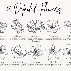 U.S. State Flower Svg Bundle, Flower Stencil, Flower Tattoo Design ...