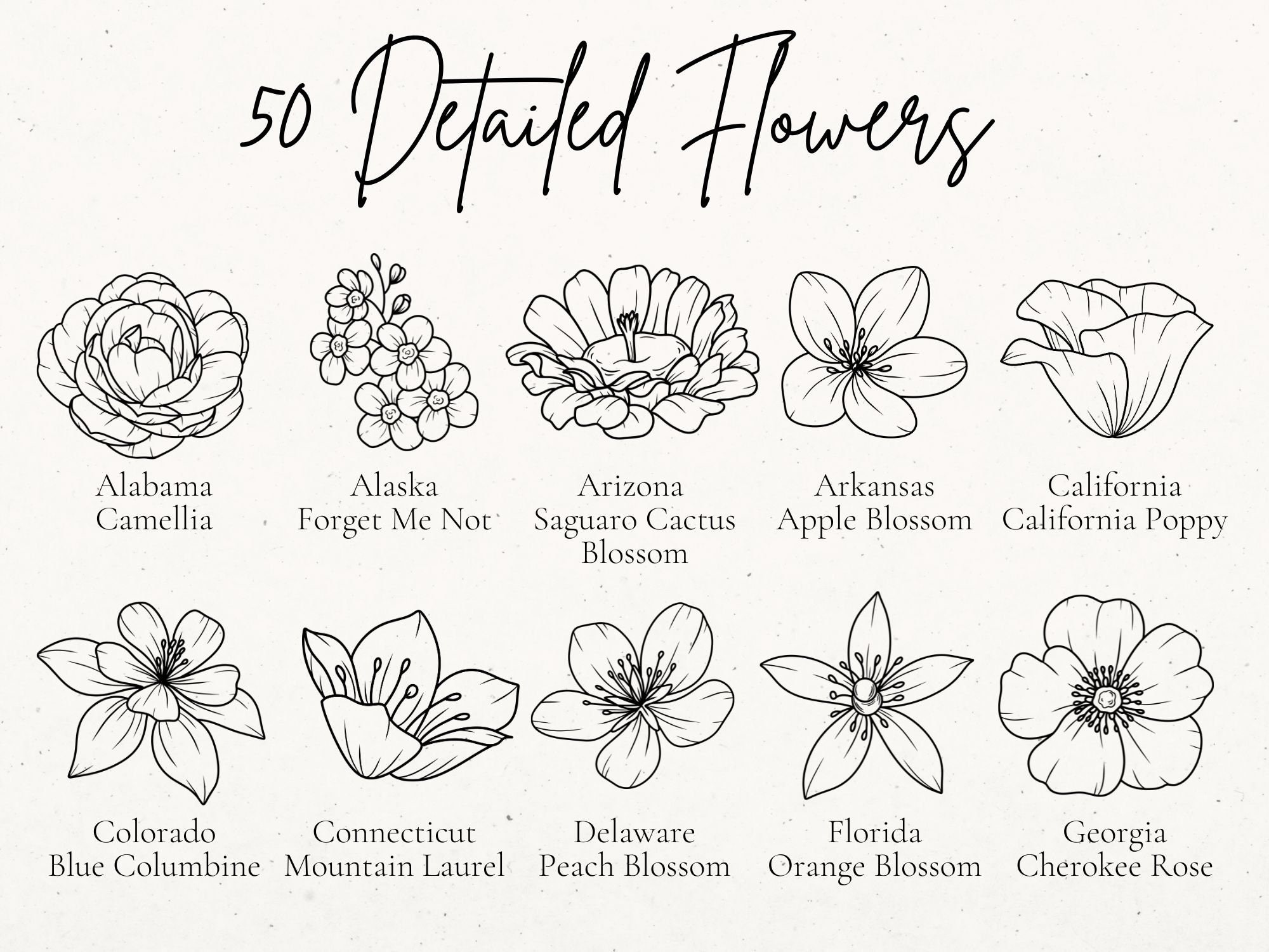 U.S. State Flower Svg Bundle, Flower Stencil, Flower Tattoo Design ...