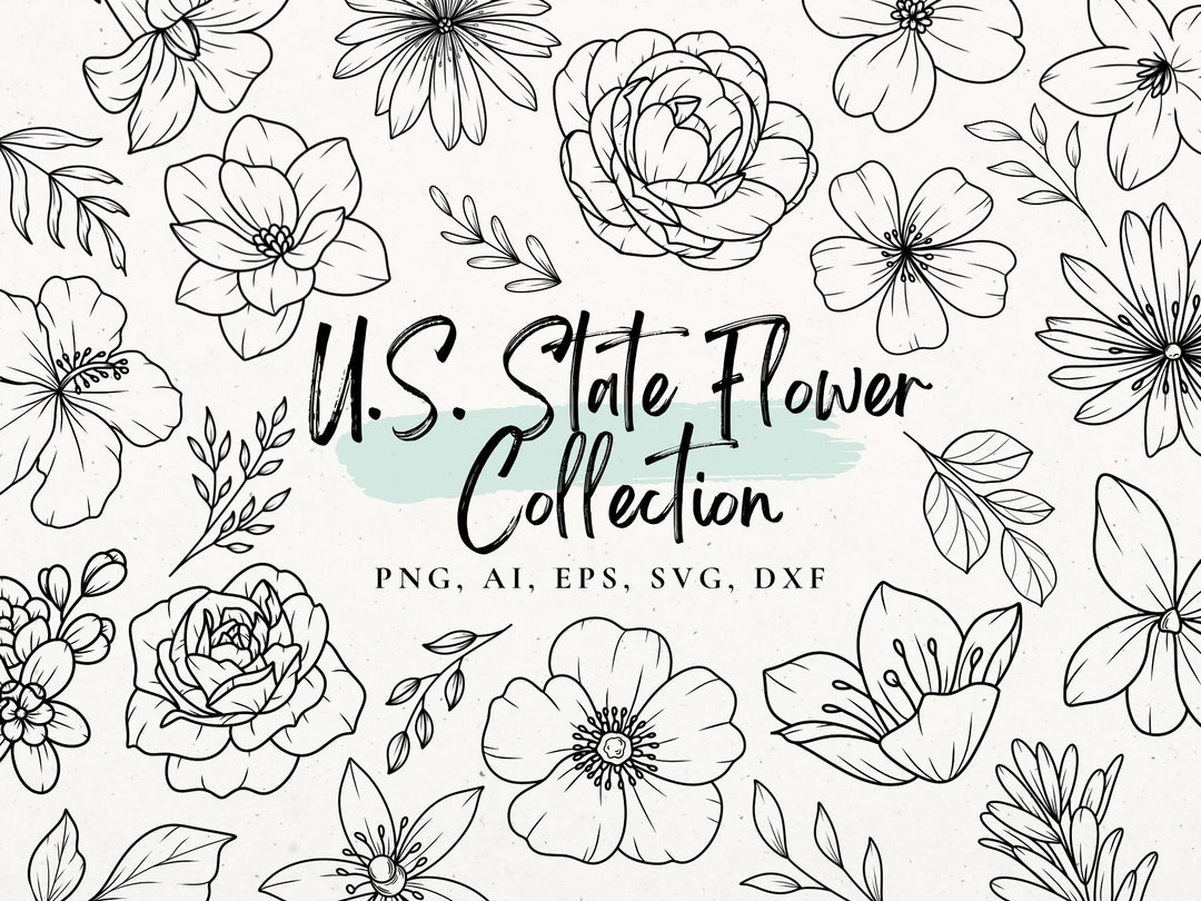 U.S. State Flower Svg Bundle, Flower Stencil, Flower Tattoo Design ...