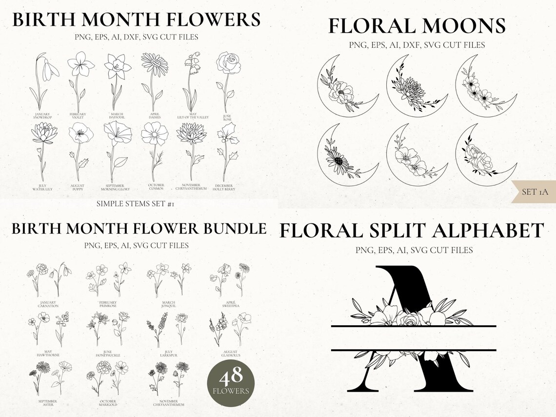 Botanical SVG Bundle Plant Clip Art Bundle Commercial Use | Etsy