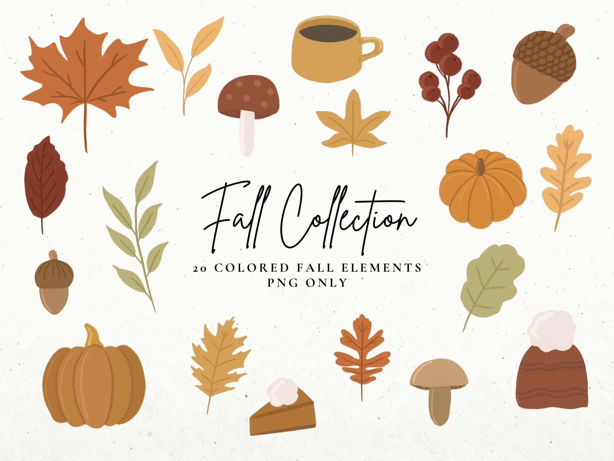 Fall Leaves Clip Art Fall Clip Art Bundle Autumn PNG Files | Etsy