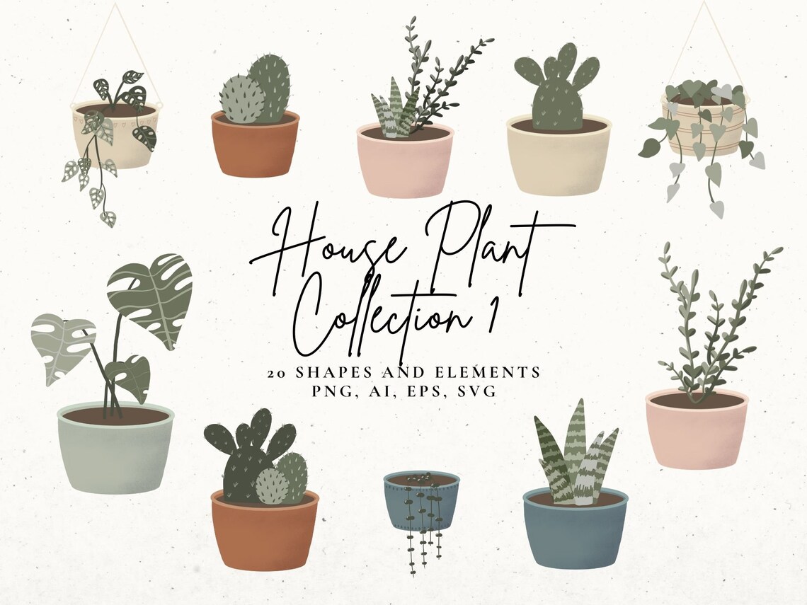 Indoor Plants SVG Bundle House Plant Clip Art Set Botanical - Etsy