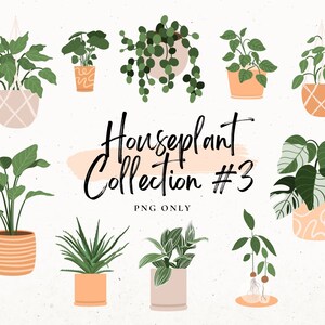 Indoor Plants PNG Bundle, House Plant Clip Art Set, Botanical Plant ...