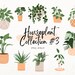 Indoor Plants PNG Bundle, House Plant Clip Art Set, Botanical Plant ...