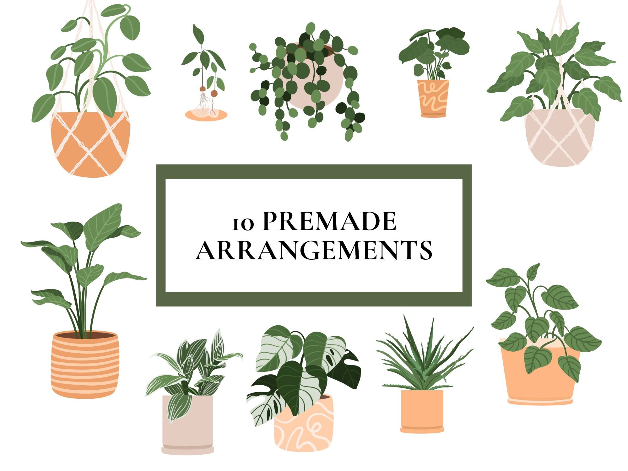 Indoor Plants PNG Bundle House Plant Clip Art Set Botanical - Etsy