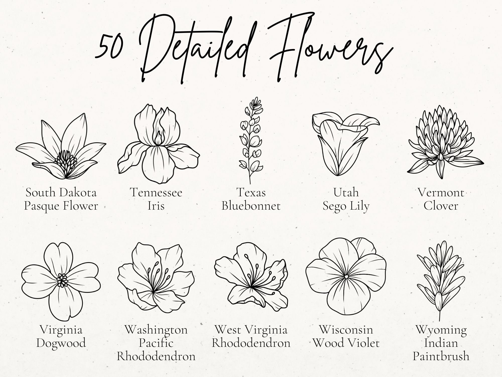 70 US State Flower Stamps Procreate, Floral Stamps, Flower Tattoo ...