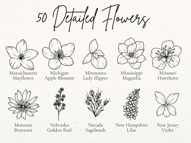 70 US State Flower Stamps Procreate, Floral Stamps, Flower Tattoo ...