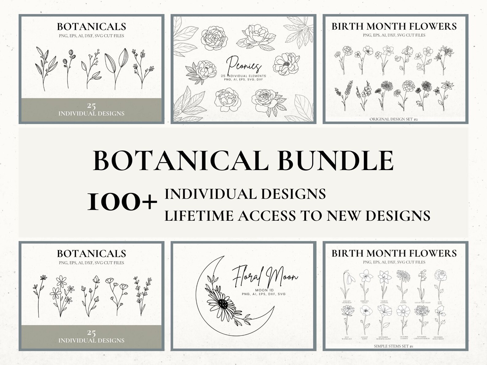 Botanical SVG Bundle Plant Clip Art Bundle Commercial Use | Etsy