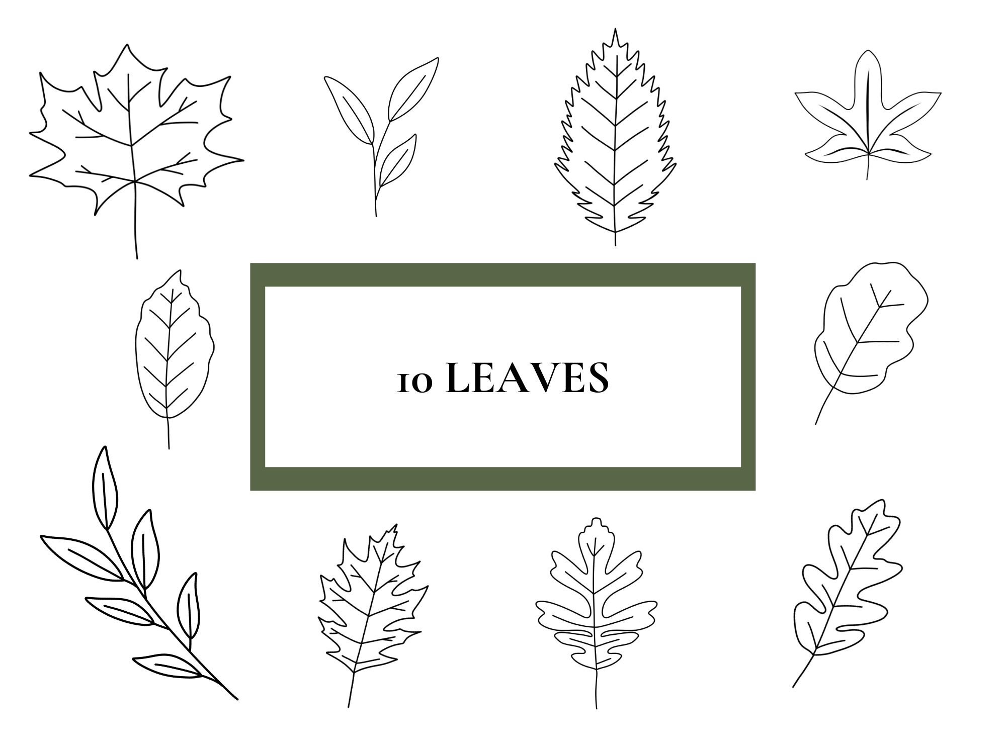 Fall Leaves SVG Fall Clip Art Bundle Autumn PNG Files Fall - Etsy