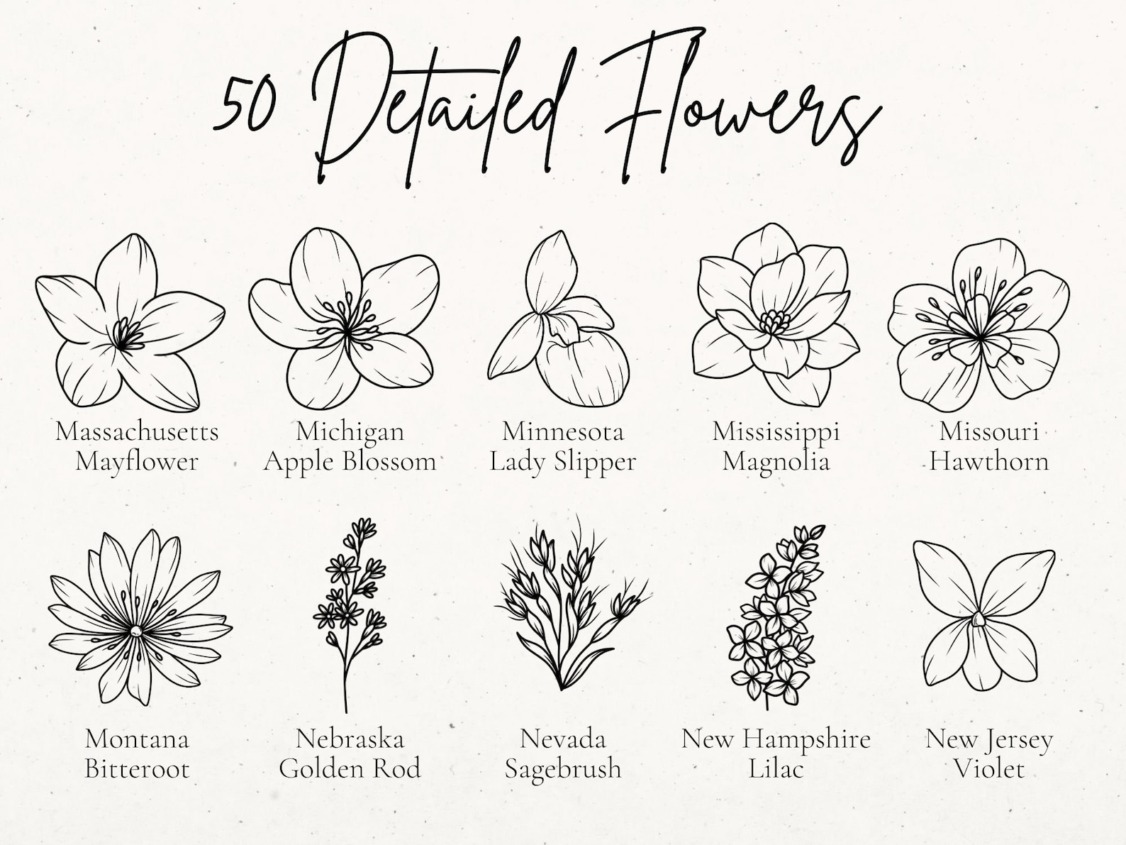 U.S. State Flower Svg Bundle, Flower Stencil, Flower Tattoo Design ...