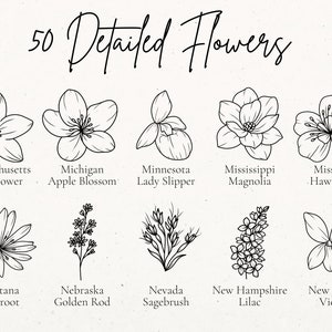 U.S. State Flower Svg Bundle, Flower Stencil, Flower Tattoo Design ...