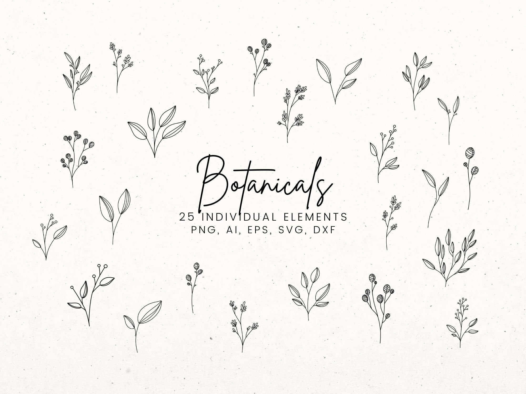 Botanicals Svg Bundle Hand Drawn flower Svg Floral vector | Etsy