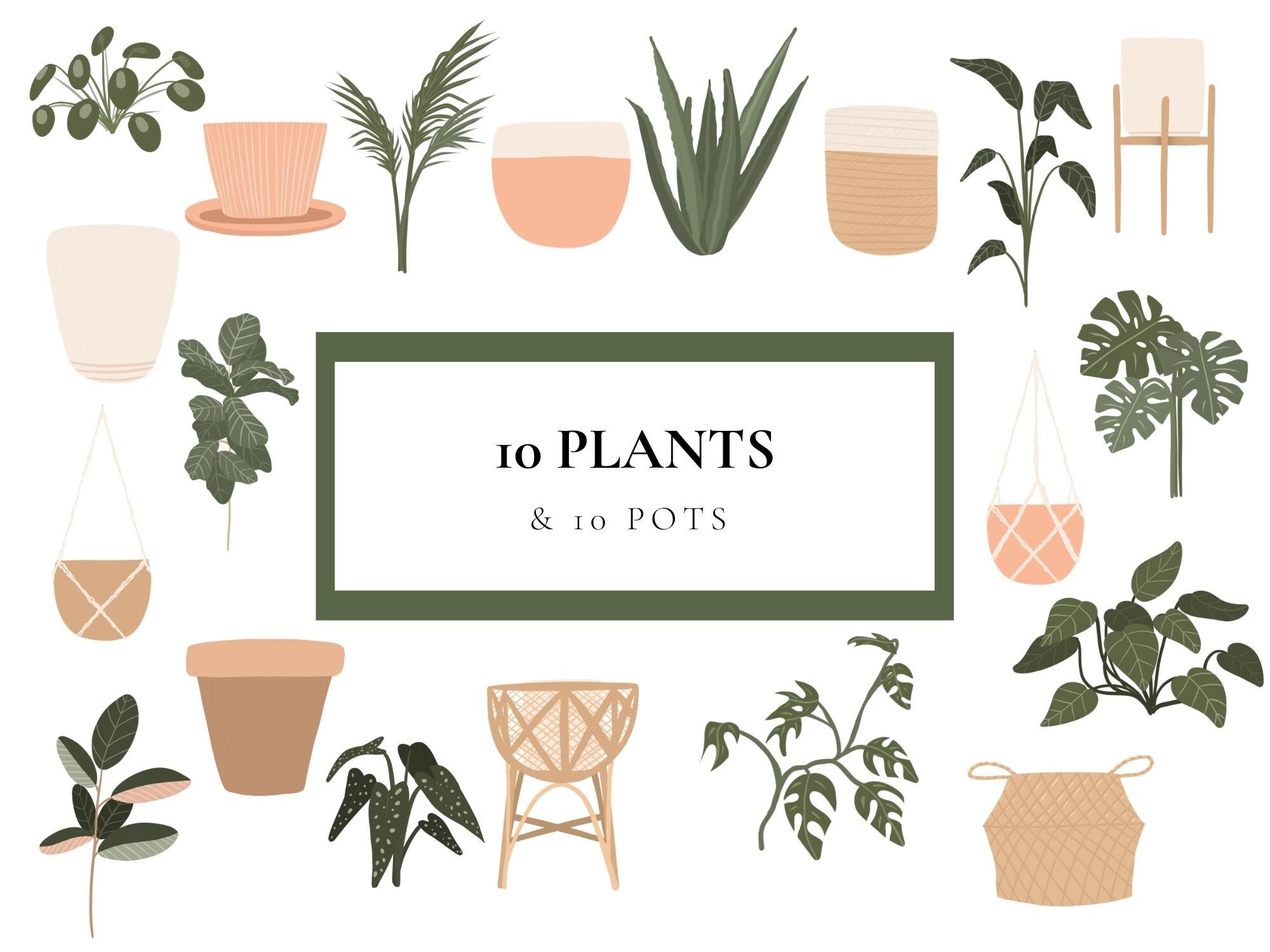 Indoor Plants SVG Bundle, House Plant Clip Art Set, Botanical Plant ...