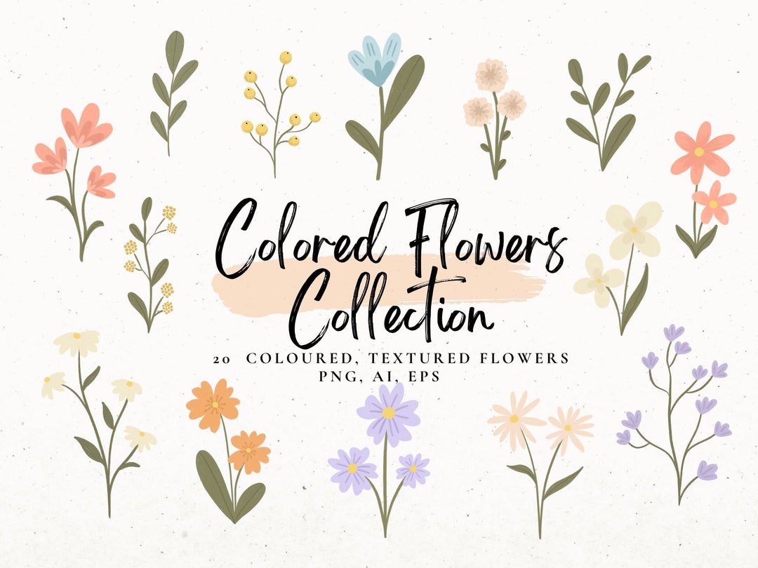 Coloured Flowers Clip Art Set Wildflower Bundle Flower - Etsy