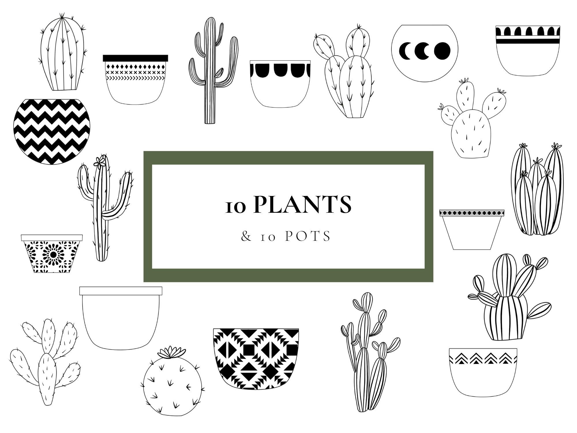 Cactus SVG Bundle Plants Clip Art Set Plant Illustration | Etsy