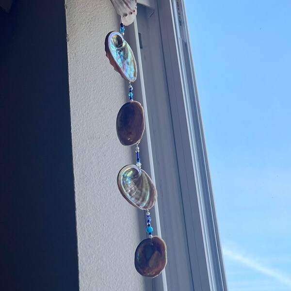 Blue Abalone Shell - Etsy