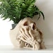 Happy Skull Horror Planter Unique Plant Pot, Witchy/goth Decor Bedroom ...