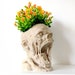 Horror Planter - Zombie Bust Plant Pot, Scary & Dark Gothic Sculpture ...