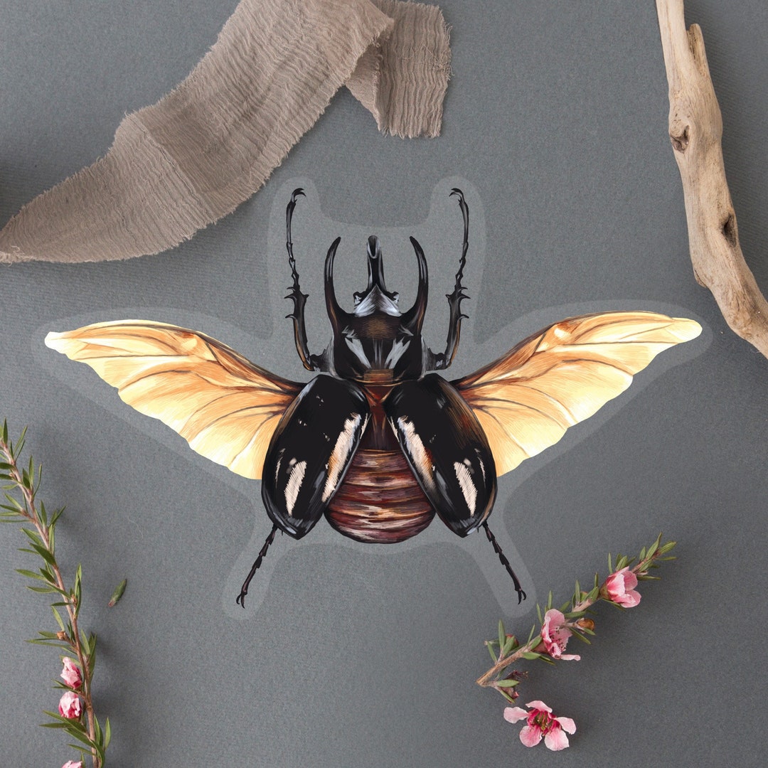 Stag Beetle Sticker Transparent Laptop Waterproof Removable Sticker ...