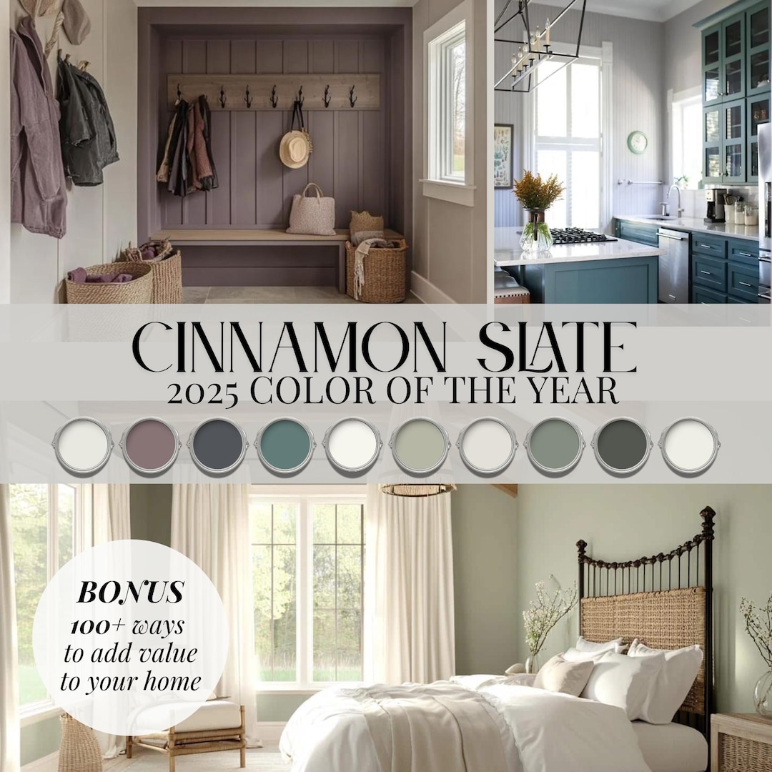 Color of the Year 2025 CINNAMON SLATE Benjamin Moore Home Color Palette ...