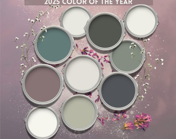 Benjamin Moore Color of the Year 2025 Palette, Benjamin Moore Cinnamon ...
