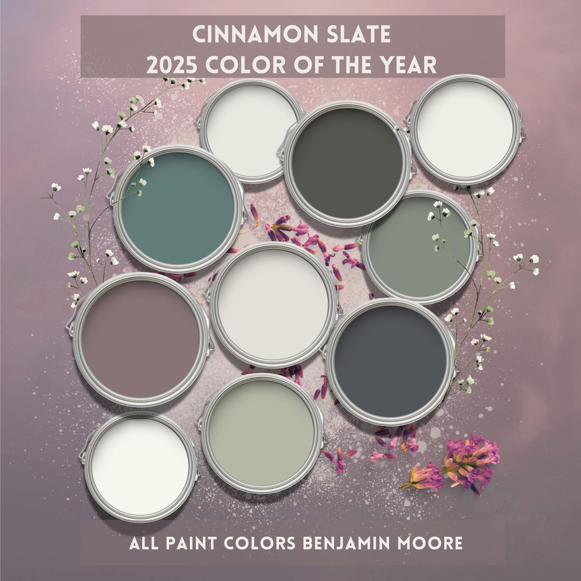 CINNAMON SLATE Color of the Year 2025 Benjamin Moore Whole Home Paint ...