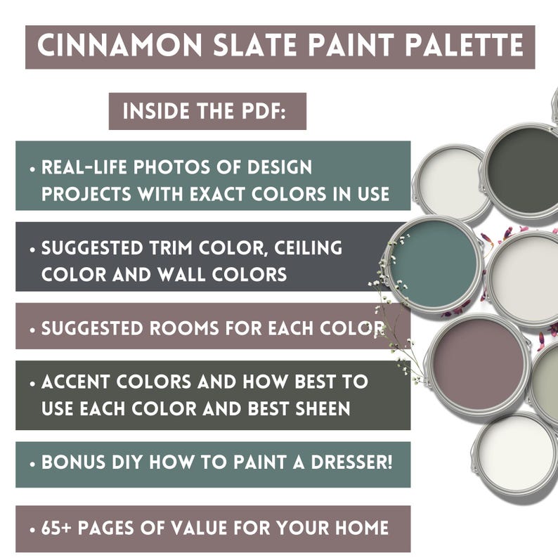 Color of the Year 2025 CINNAMON SLATE Benjamin Moore Home Color Palette ...