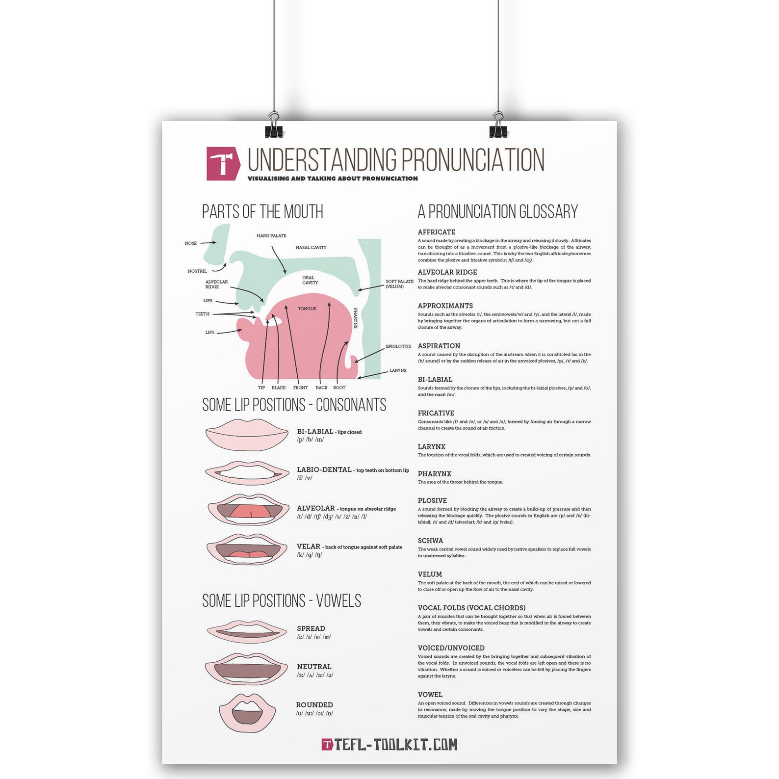 English Pronunciation Posters Phonemic Chart, A Visual Guide to ...