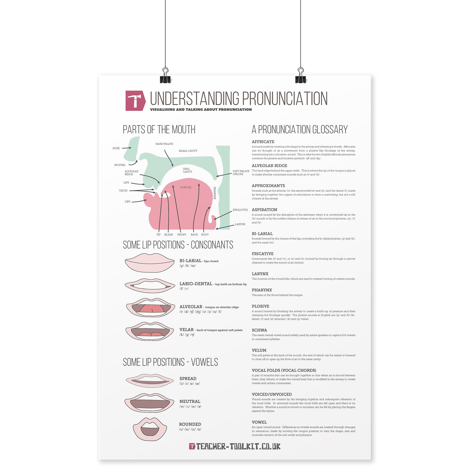 Pronunciation Posters and Flashcards Printable - Etsy