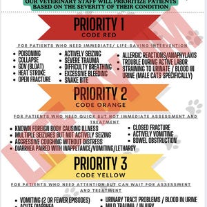 Vet Triage Action Plan: Animal Emergency Guide (digital Download) - Etsy