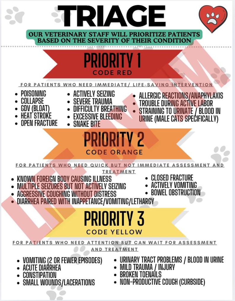 Vet Triage Action Plan: Animal Emergency Guide (digital Download) - Etsy