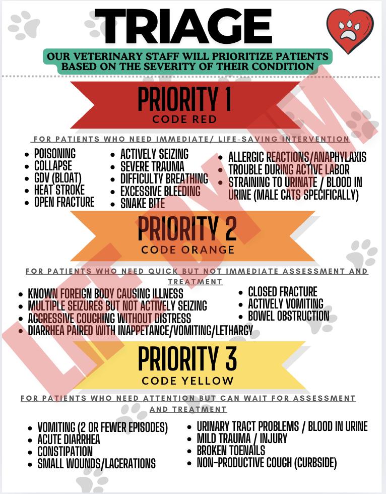 Vet Triage Action Plan: Animal Emergency Guide (digital Download) - Etsy