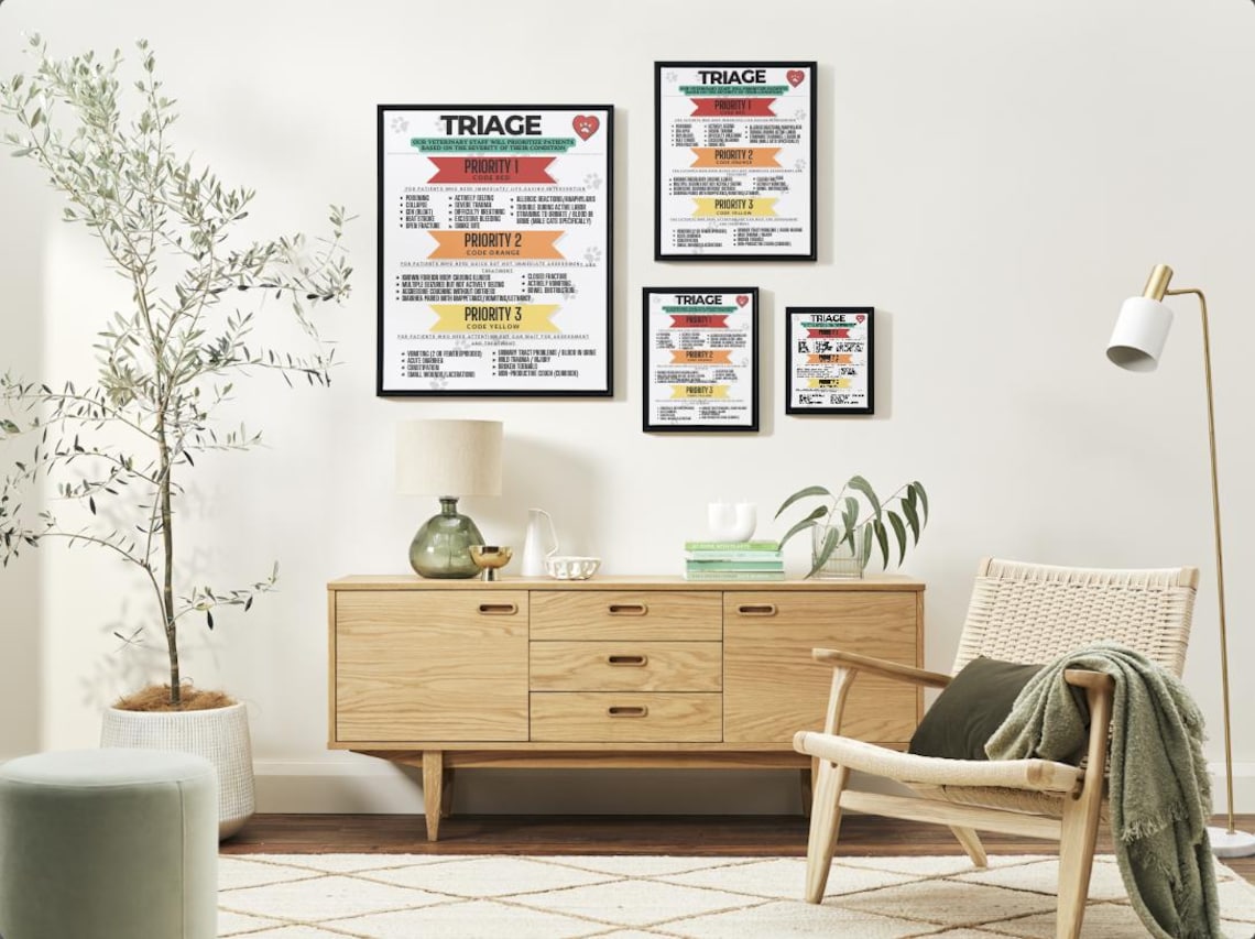 Vet Triage Action Plan: Animal Emergency Guide (digital Download) - Etsy