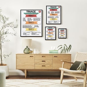 Vet Triage Action Plan: Animal Emergency Guide (digital Download) - Etsy